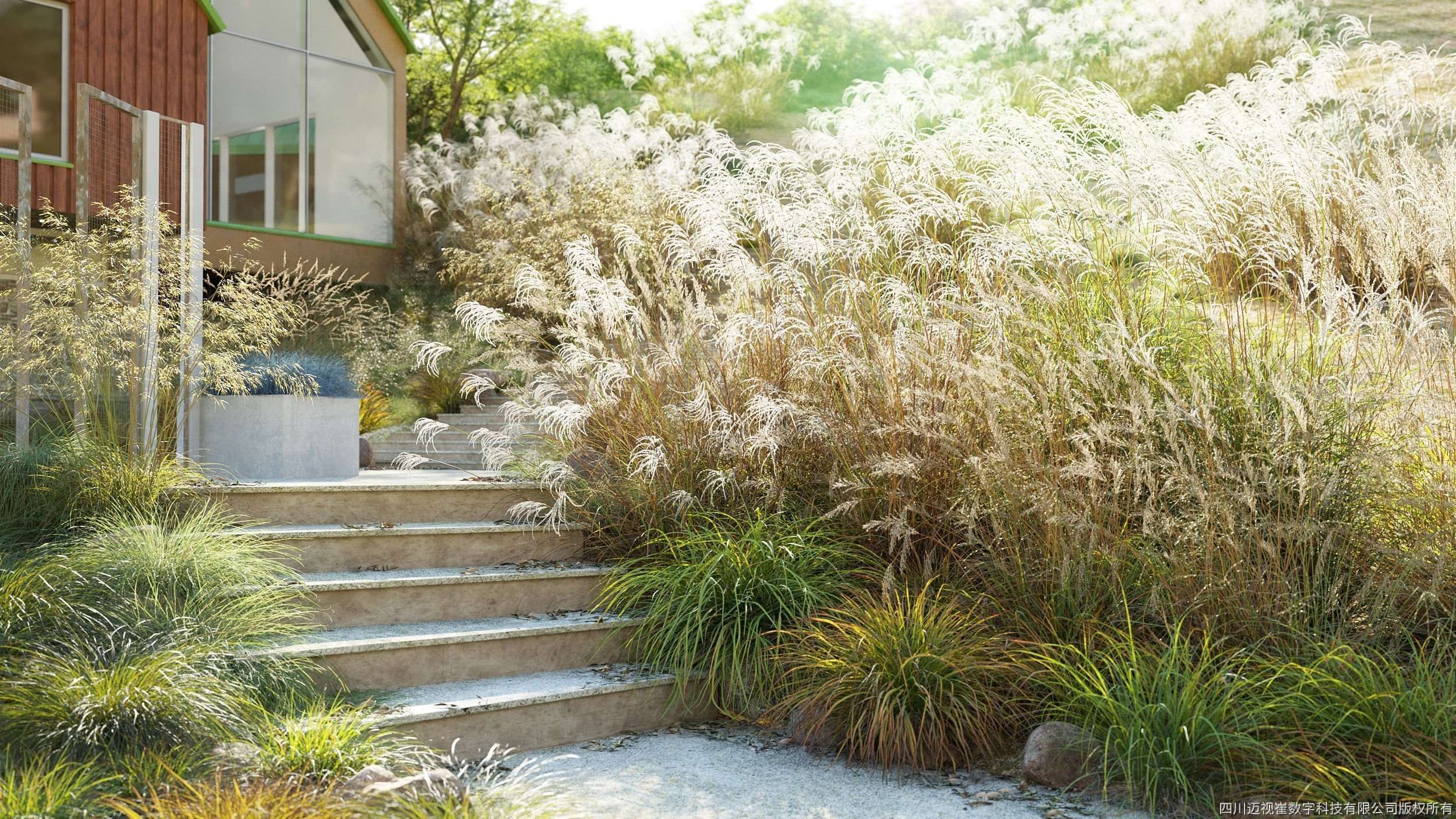 Plant Models Vol 109 2025 - Free Daz 3D Models