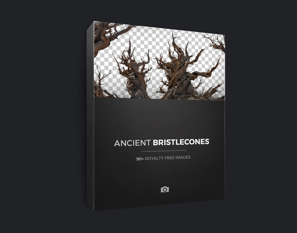 Photobash - ANCIENT BRISTLECONES [Request]