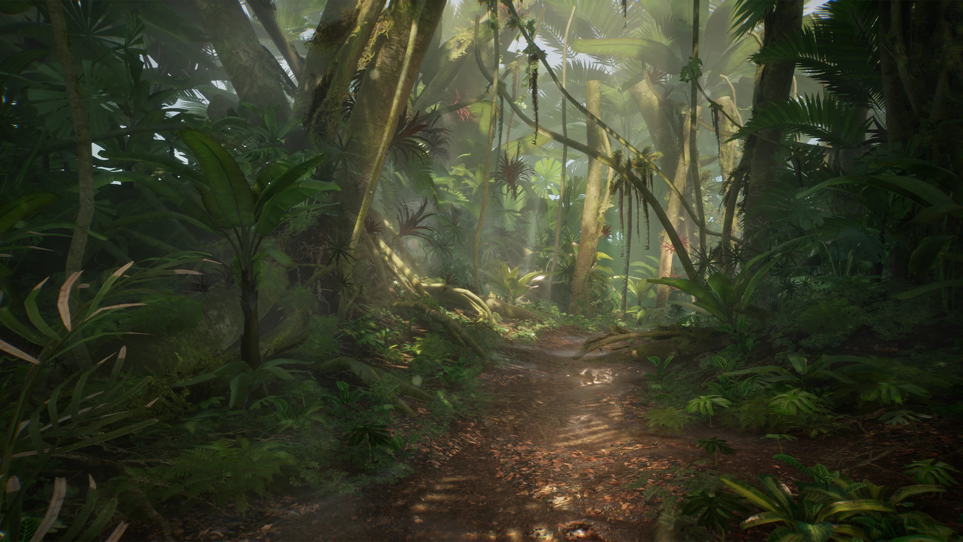 Jungle Foliage Pack 2025 - Free Daz 3D Models