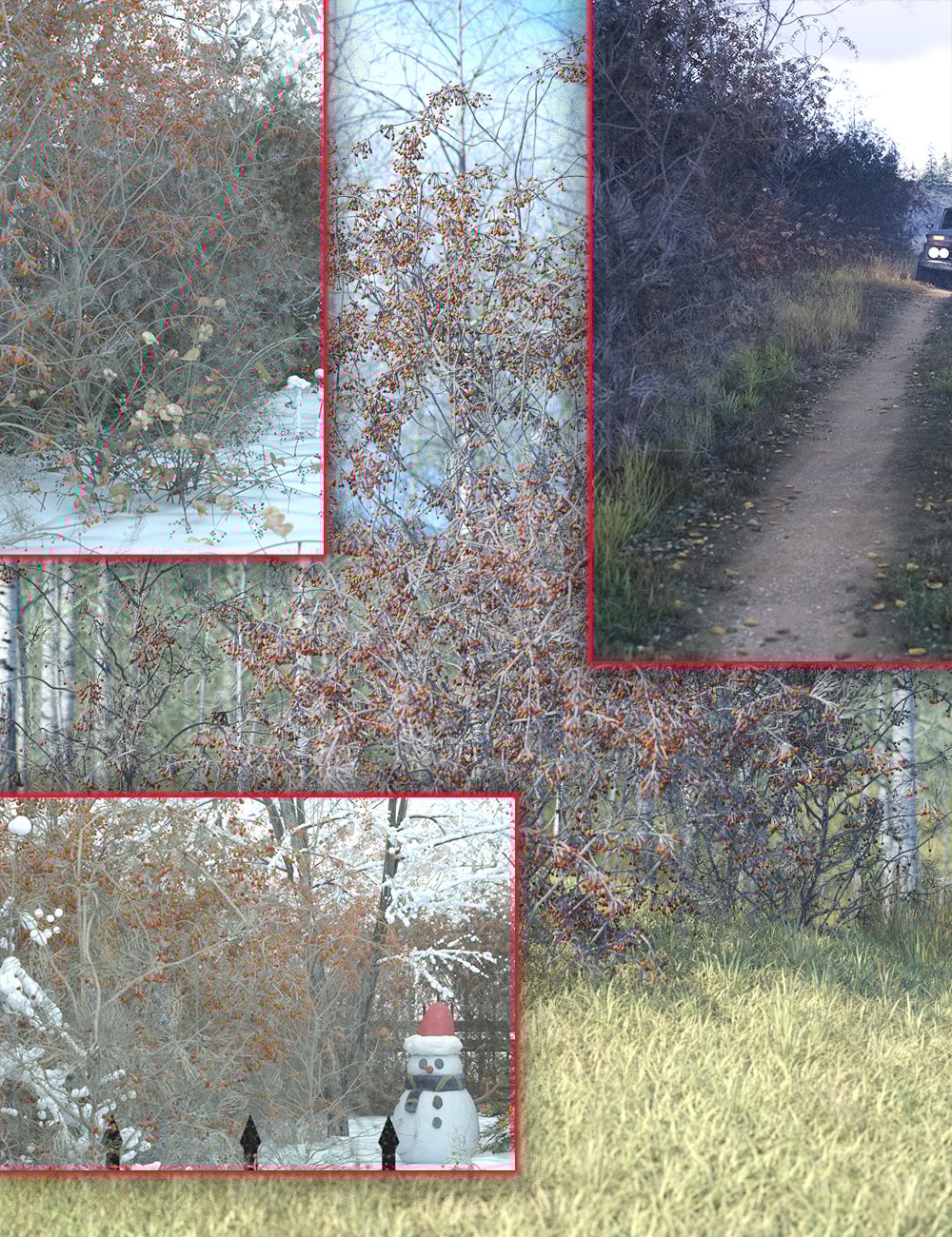 Requests - Free Daz 3D Models