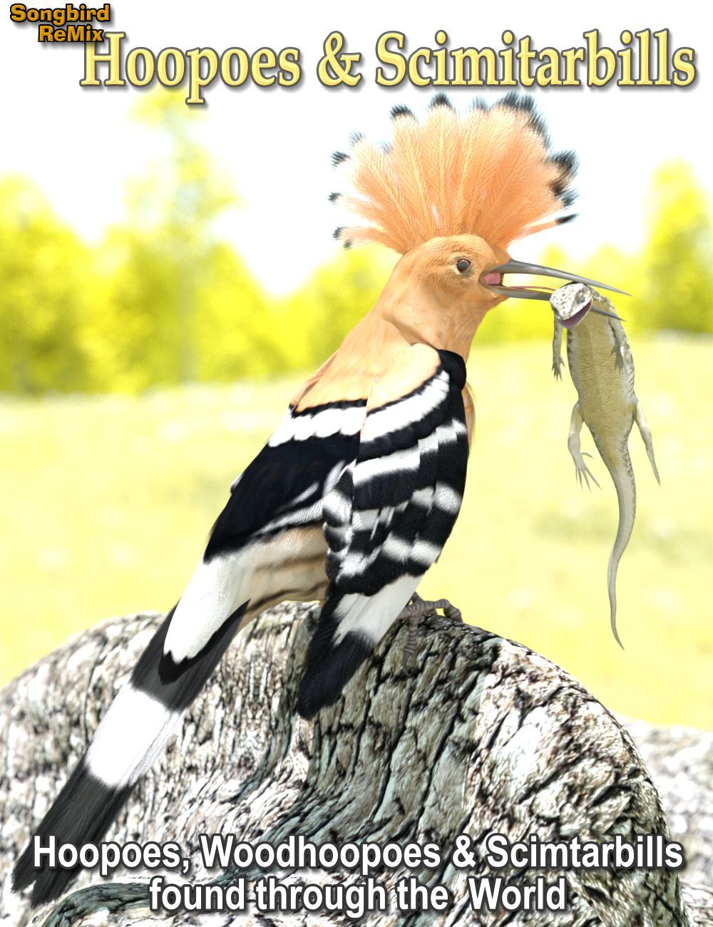 Songbird ReMix Hoopoes & Scimitarbills 2026 - Free Daz 3D Models