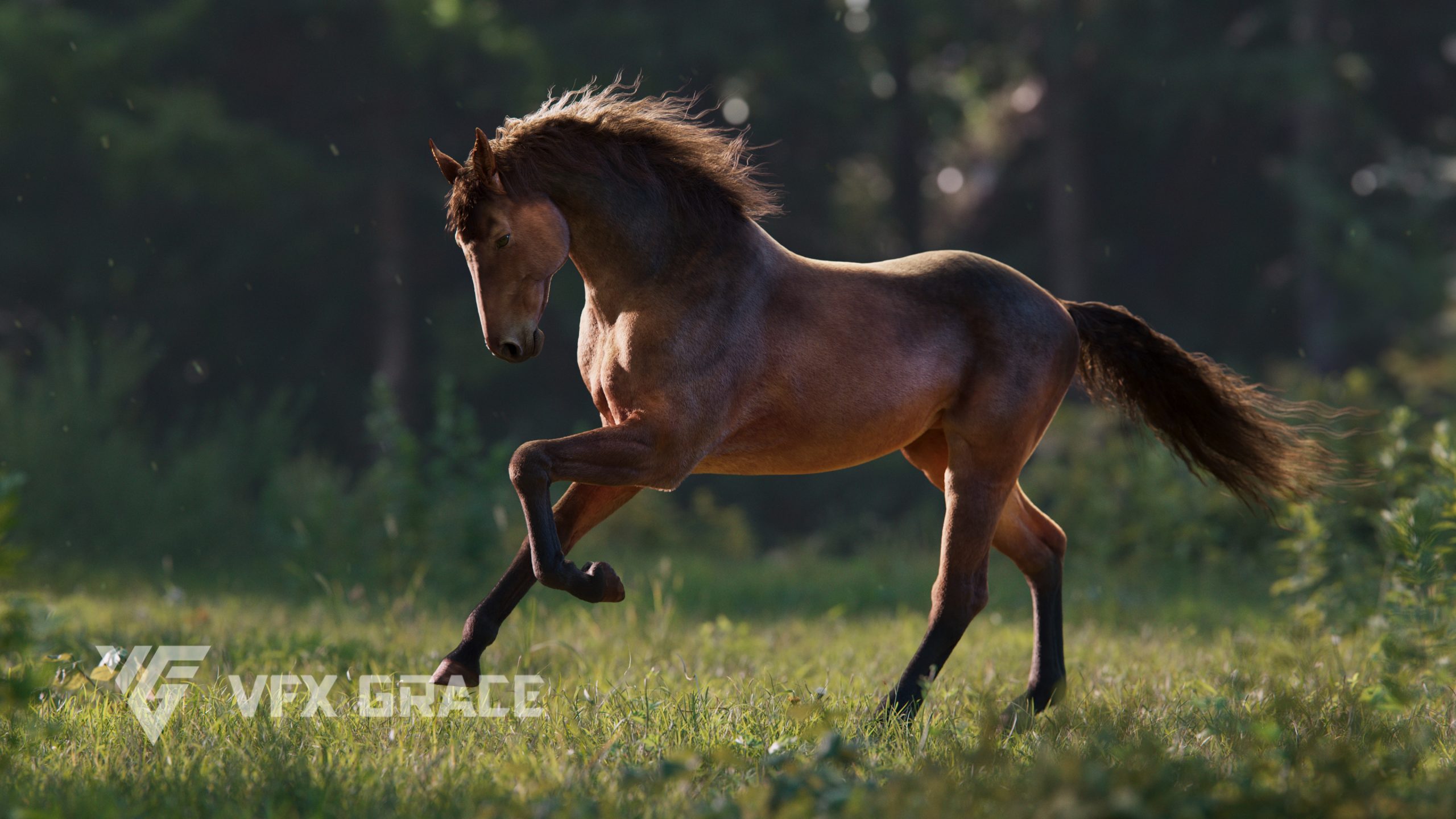Brown Horse Animation | 3d Brown Horse Animation Model | VFX Grace ...