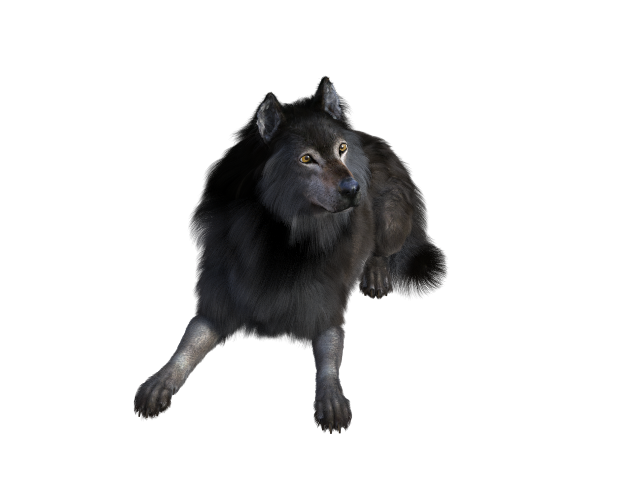 Problems With Dire Wolf For Daz Dog 8 - Free Daz 3D Models