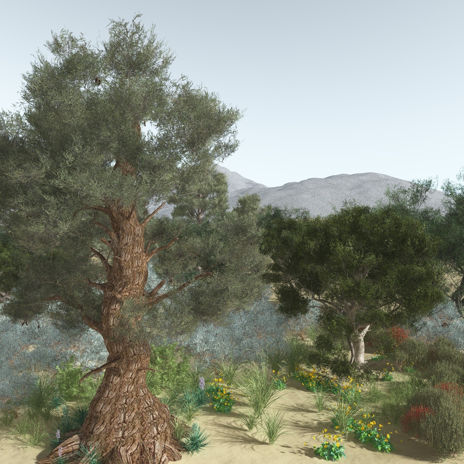 EVERYPlant US Great Basin Biome For Daz [Request]