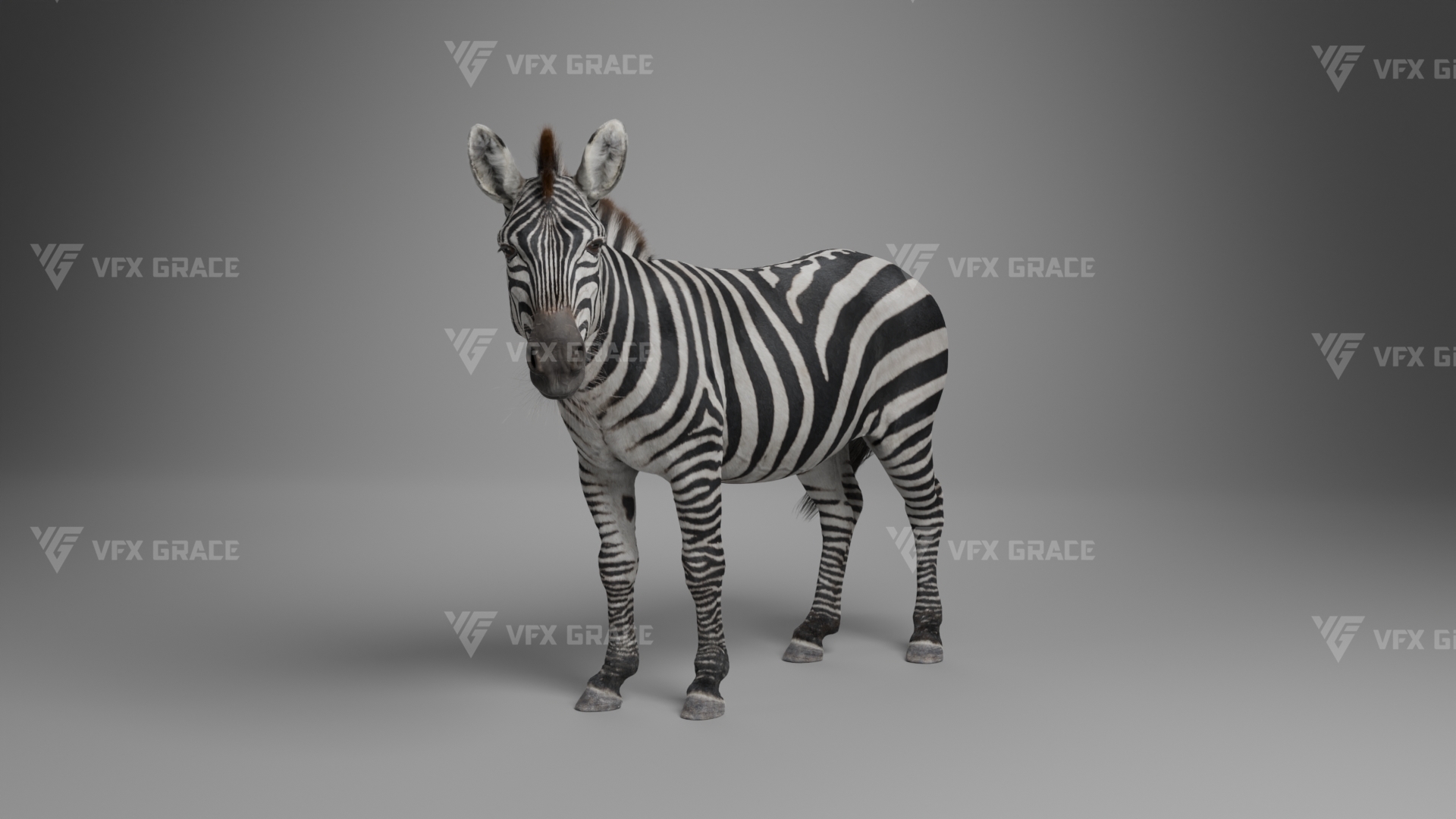 Daz3D Free Models - GFXZONE