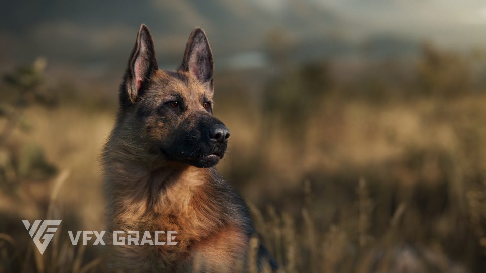VFX GRACE – German Shepherd Animation [REPOST] 2026 - Free Daz 3D Models