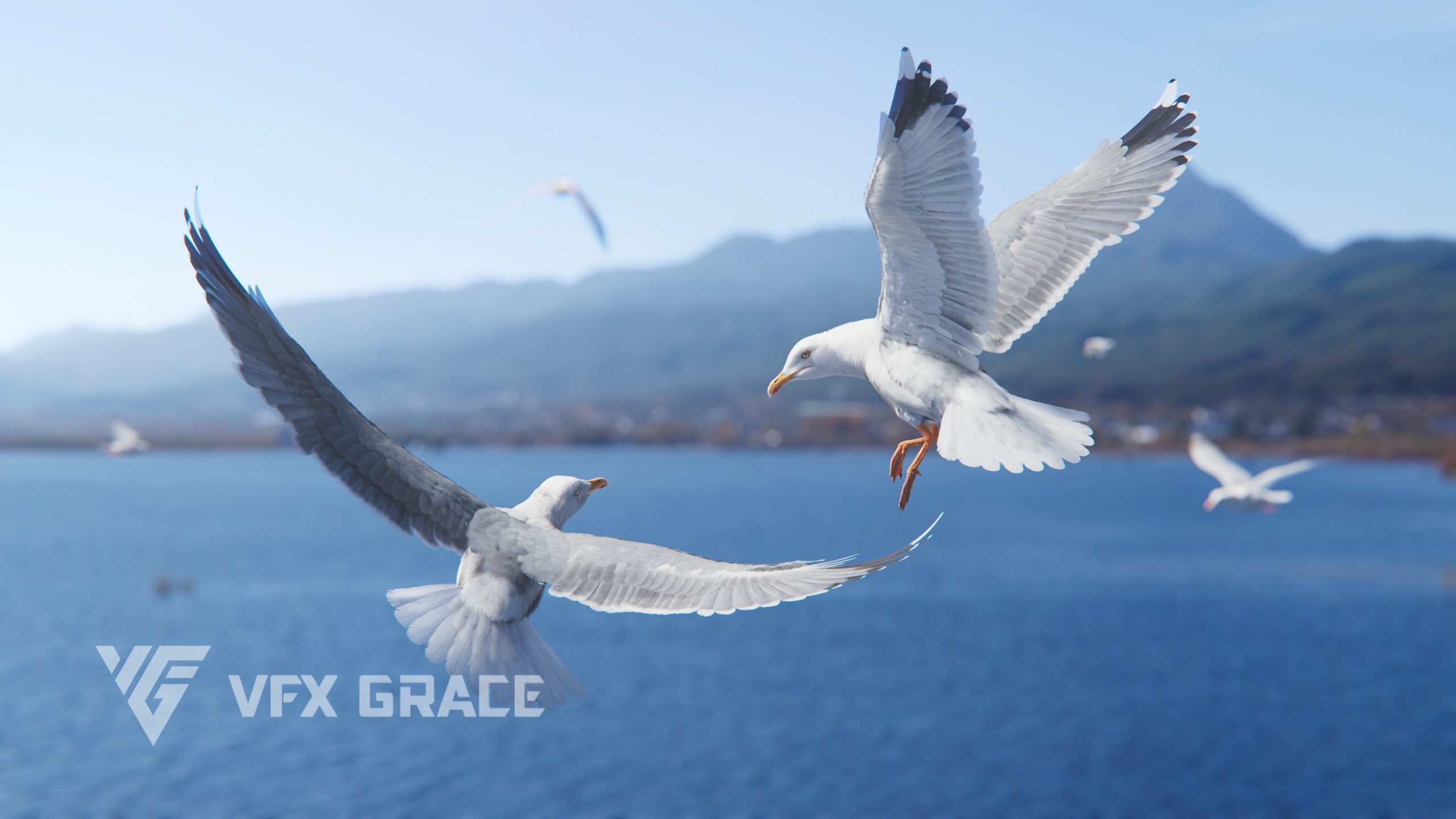 (JF0N2N0T) - Seagull | VFX GRACE | Blender [Request]