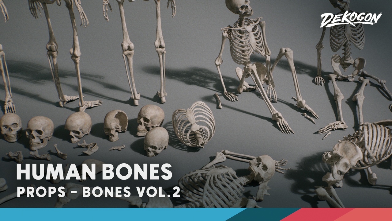 Bones VOL2 (HumanBones,Nanite,LowPoly) UE5.0 2025 - Free Daz 3D Models