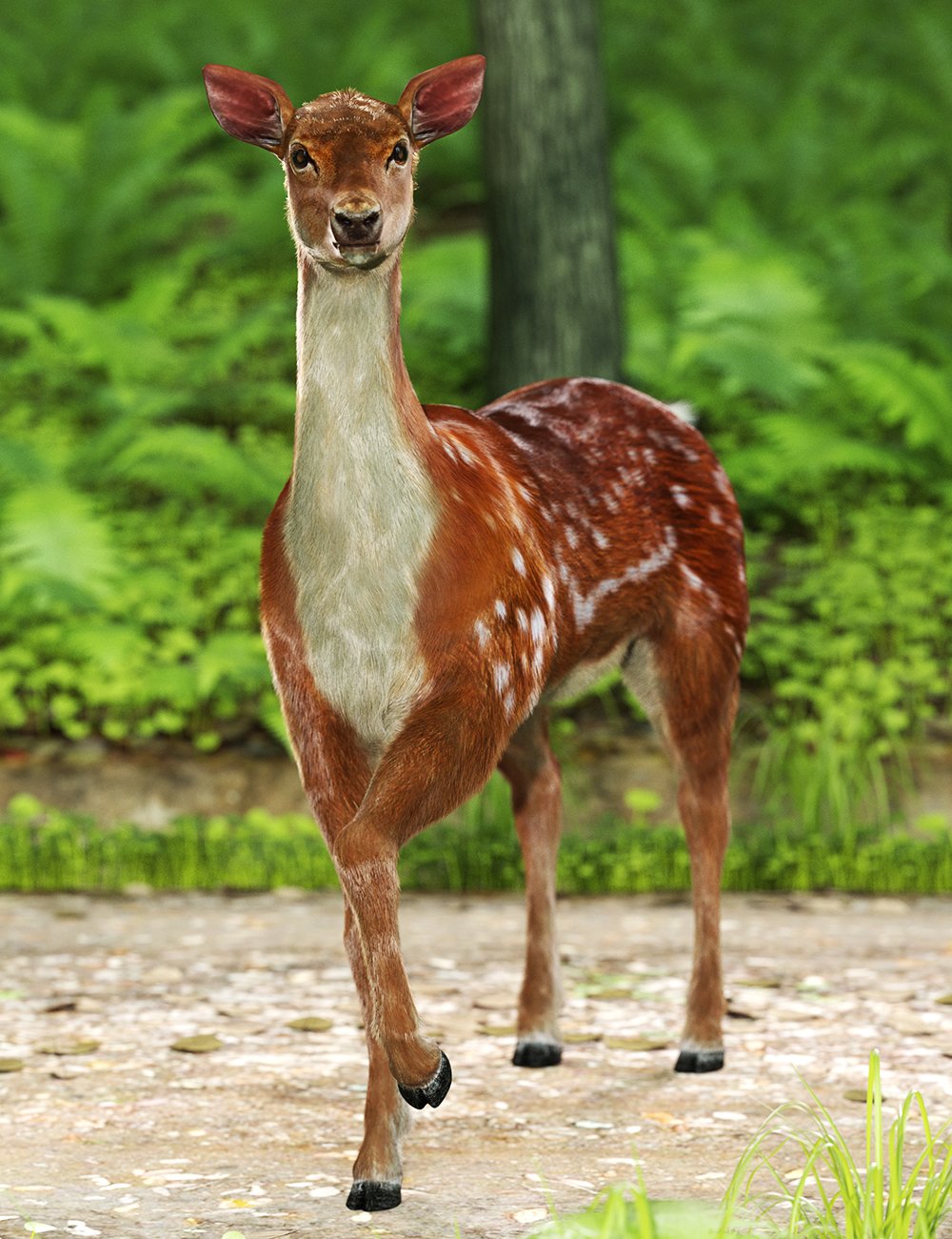 Deer Me Poses For DA Deer 2026 - Free Daz 3D Models