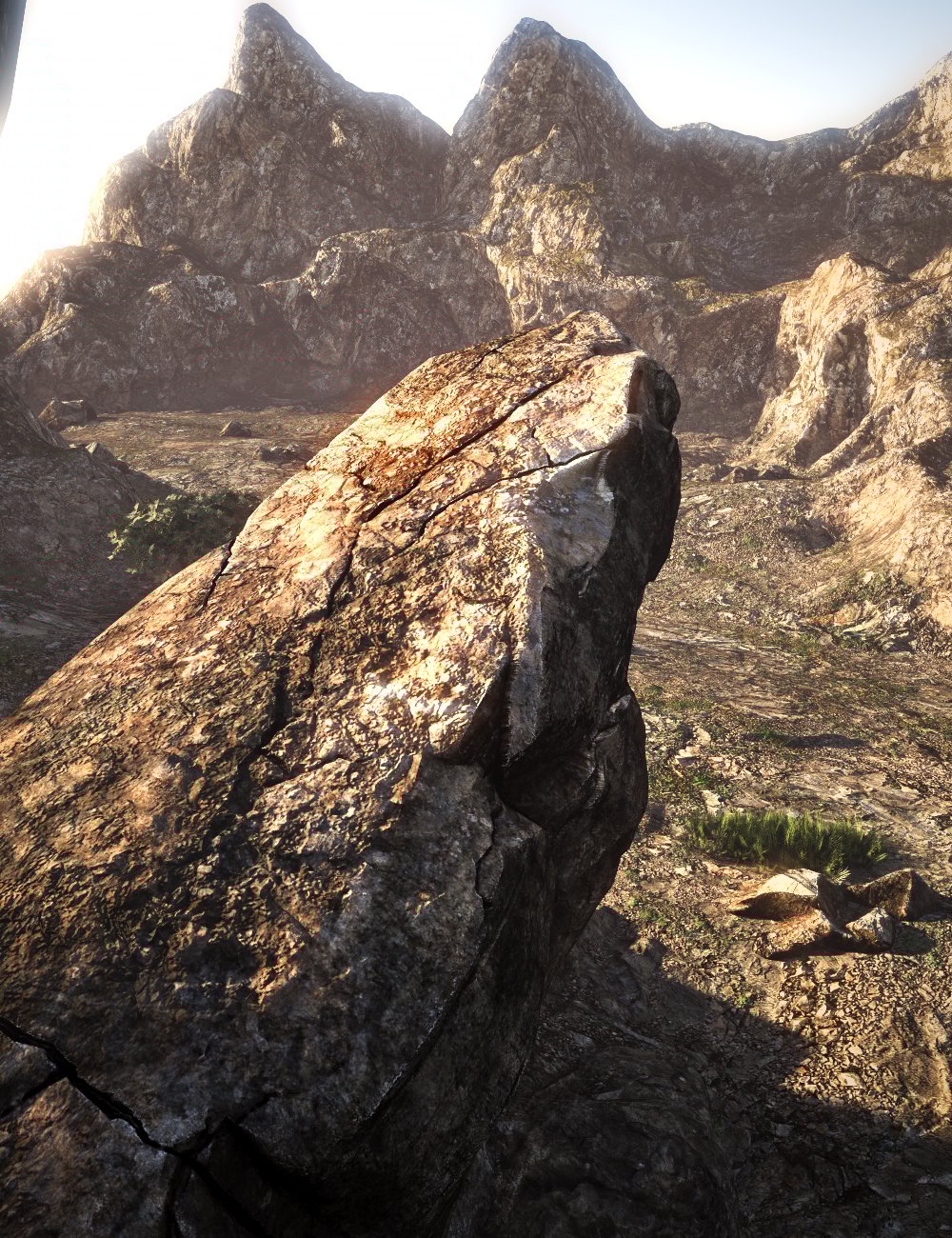 XI African Wildlands View Rock [Request]