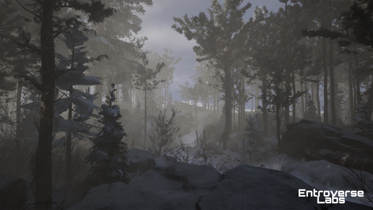 Taiga Biome Environment UE5.0 2025 - Free Daz 3D Models