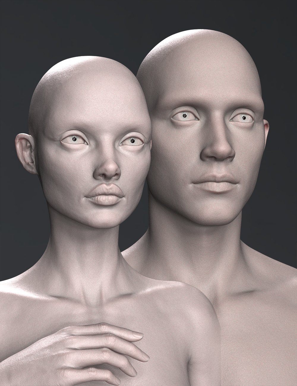 Kayao Duet HD Add-on Plus Anatomical Elements For Genesis 9 2026 - Free ...