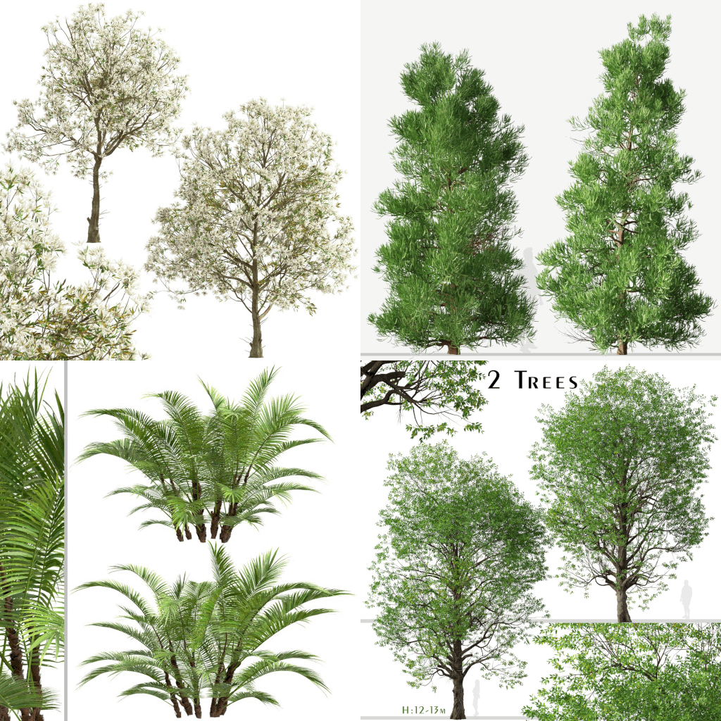 Japanese Trees Pack 2 2025 - Free Daz 3D Models