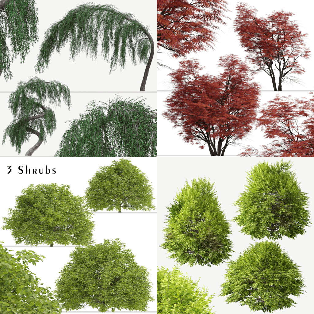 Japanese Trees Pack 3 2025 - Free Daz 3D Models