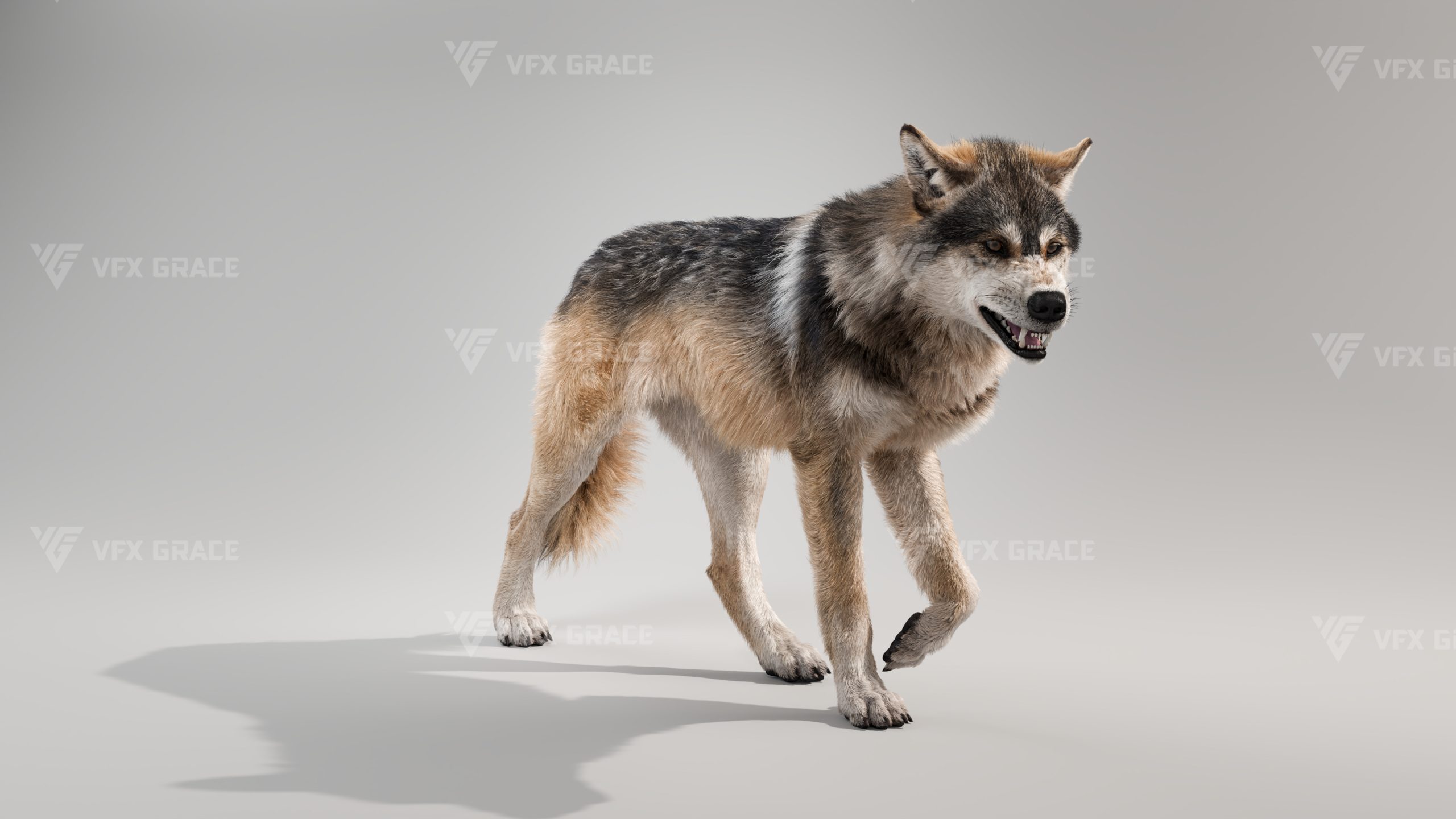 Realistic Eurasian Wolf 3D Model – High-Detail Rig For Blender ...