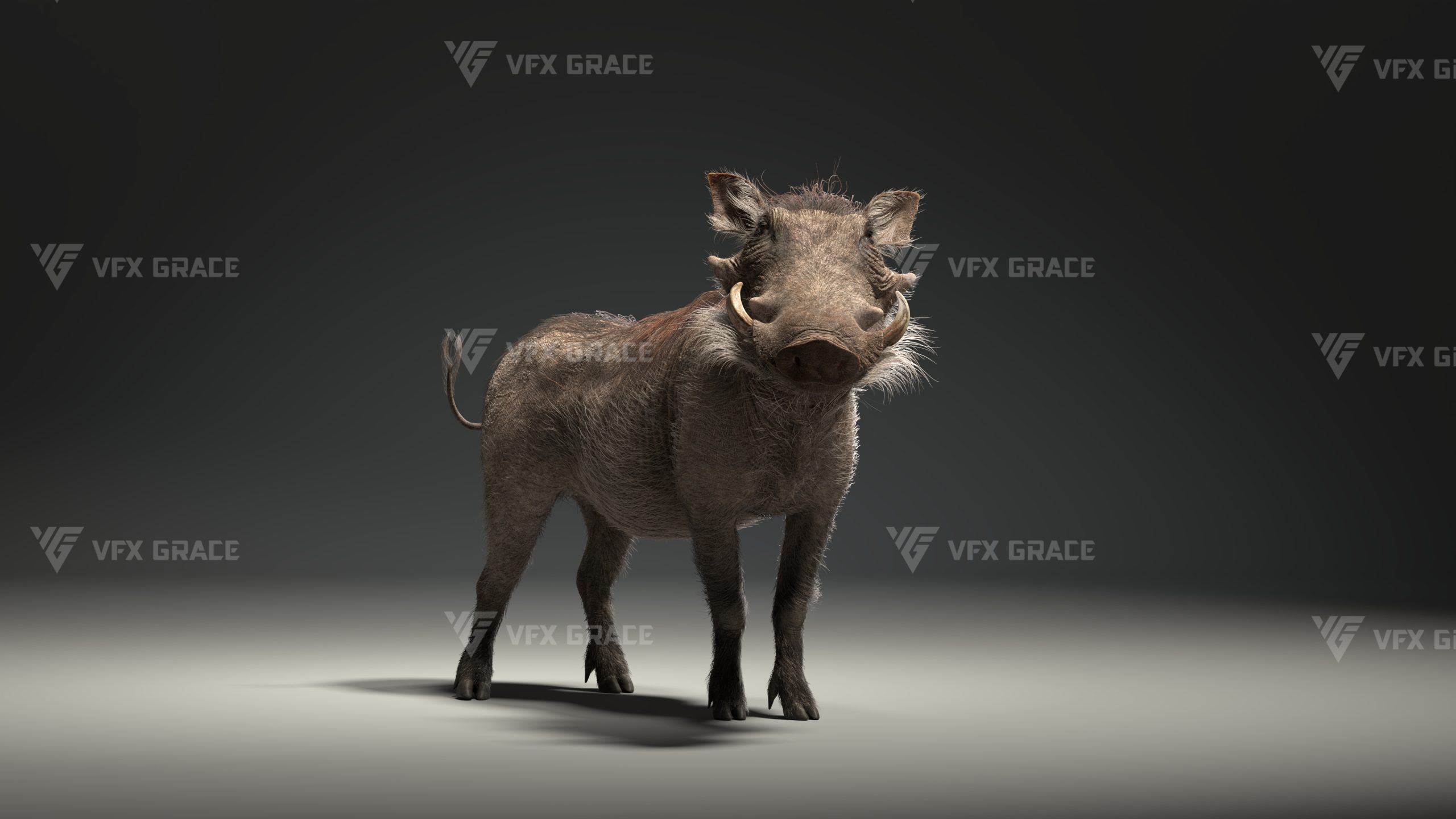 Warthog Animation | Blender 3D Model [Request]