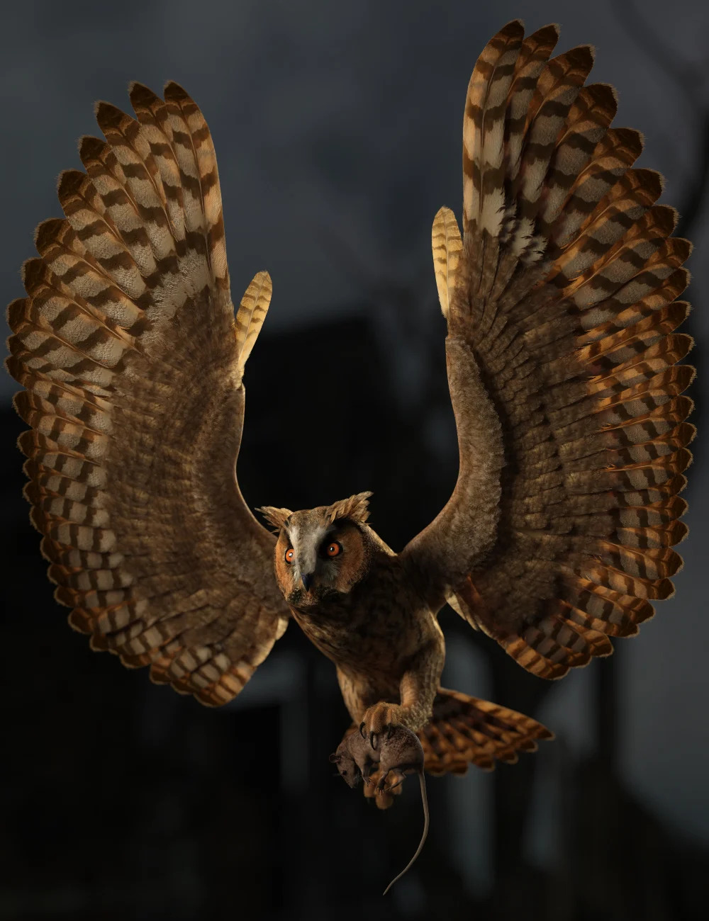 DS Fantasy Owl Species (re-upload From Dead Post) 2025 - Free Daz 3D Models