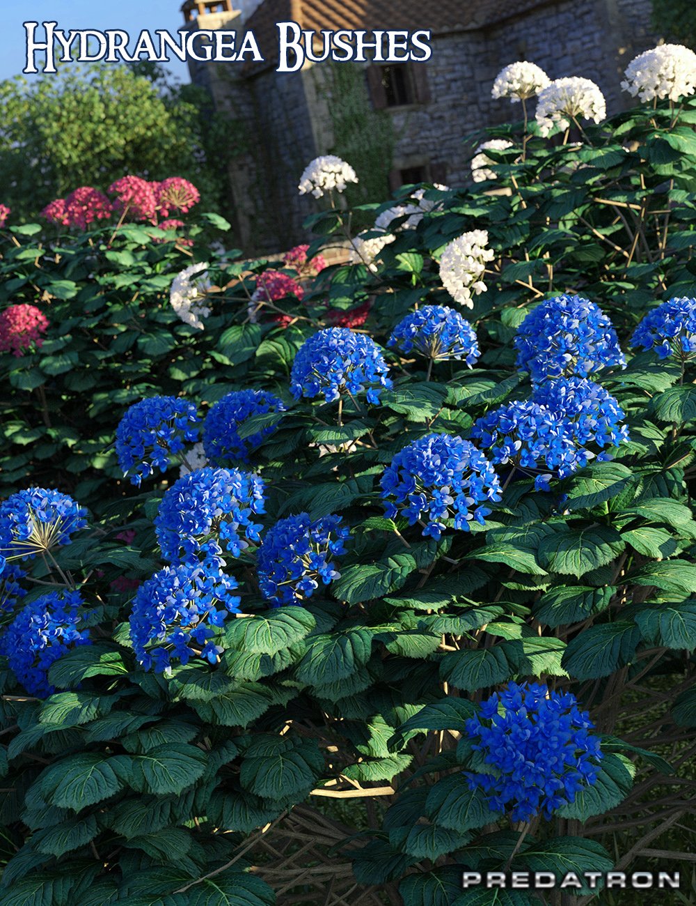 Predatron Hydrangea Bushes 2025 - Free Daz 3D Models