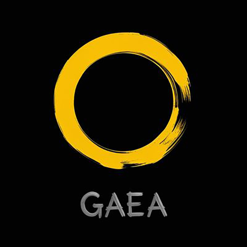 QuadSpinner Gaea 2.2.2.0 X64 Enterprise 2025 - Free Daz 3D Models