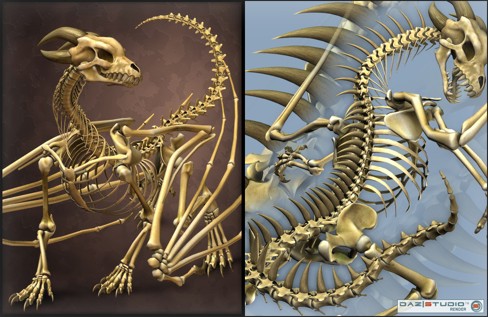 The Bone Dragon And Bone Dragon Spikes 2025 - Free Daz 3D Models
