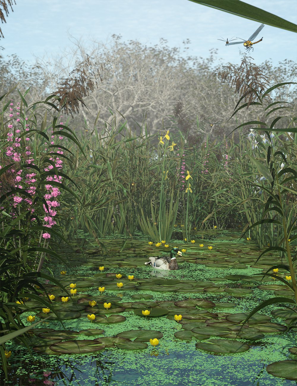 Wetlands Low Res Plants For Vol 2 - Flowering Plants 2026 - Free Daz 3D ...