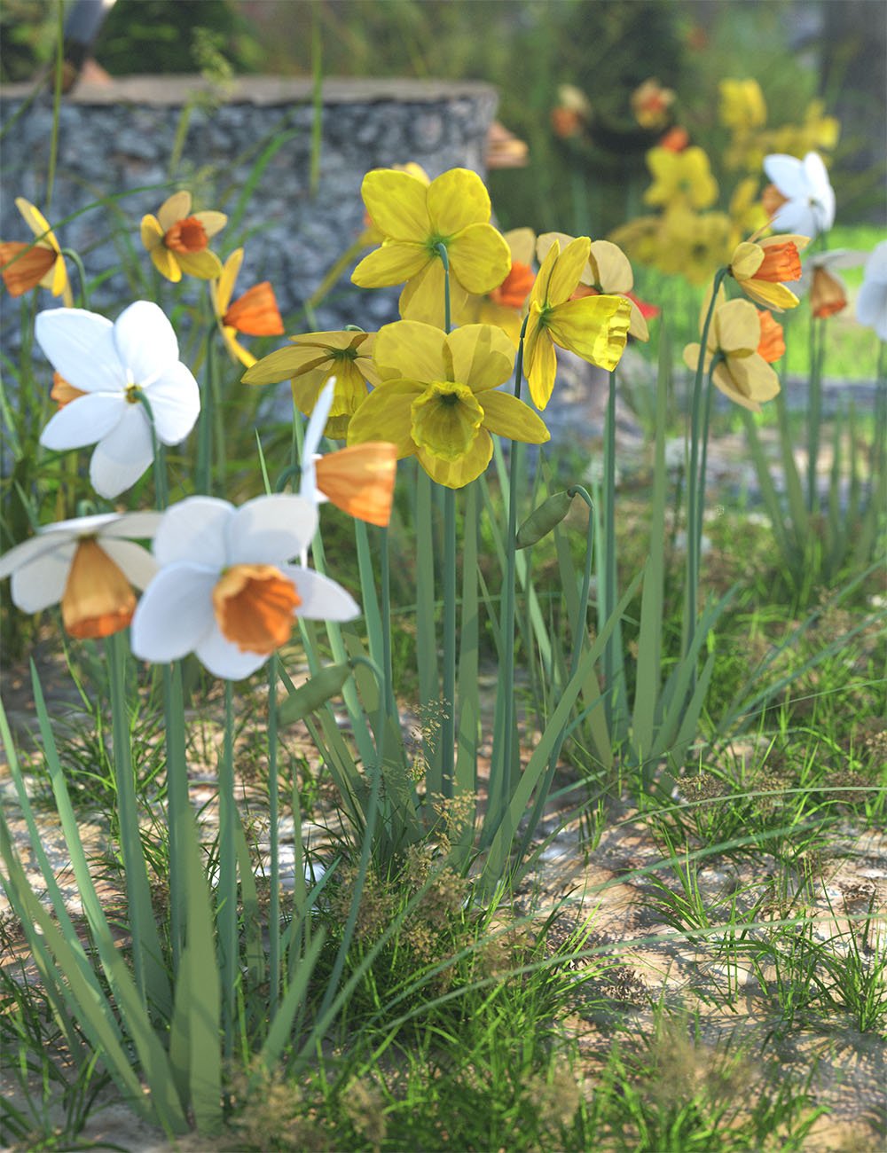 Spring Daffodil Flowers [Request]