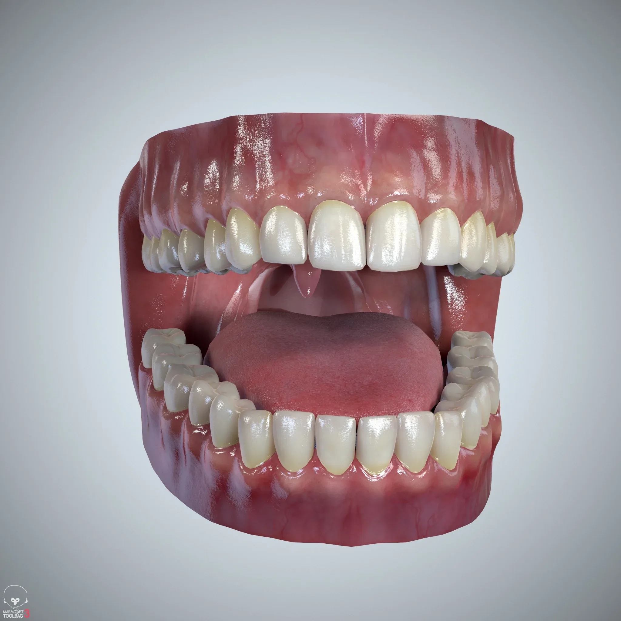 Teeth And Tongue Set 2026 - Free Daz 3D Models